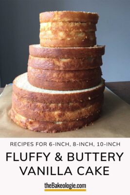 Sturdy Yet Moist and Fluffy Chocolate Cake | bakeologie