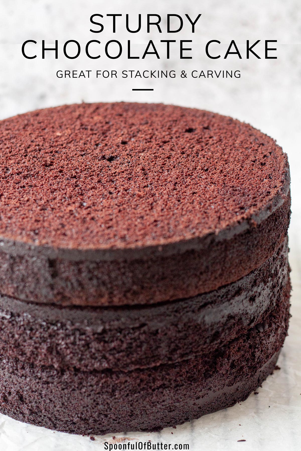 Sturdy Yet Moist and Fluffy Chocolate Cake | bakeologie
