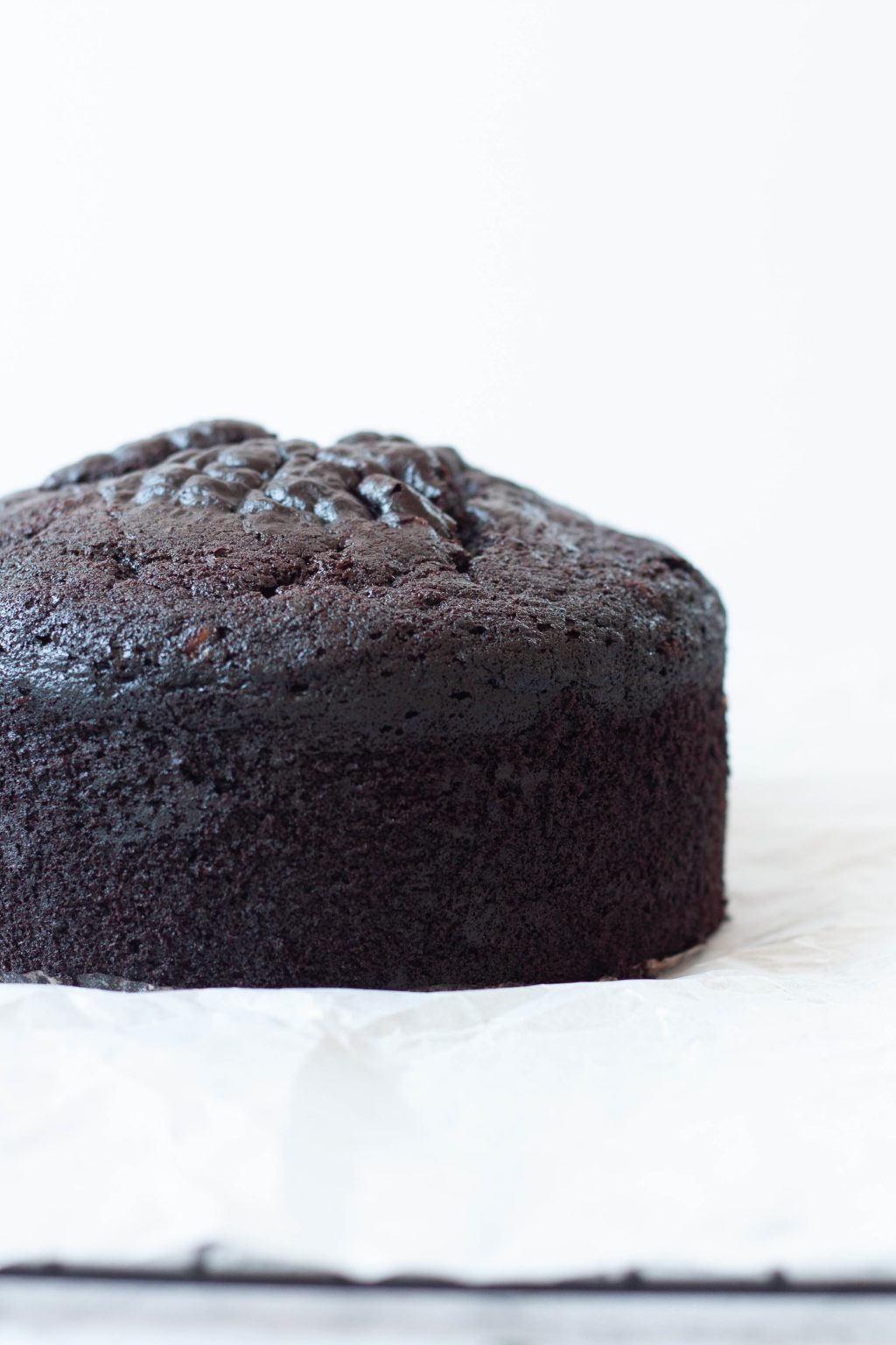 Sturdy Yet Moist and Fluffy Chocolate Cake | bakeologie
