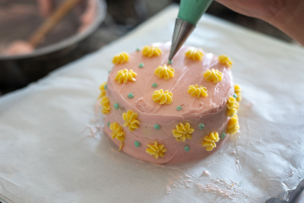 Lunchbox Cakes | All you need to know to make this adorable cakes