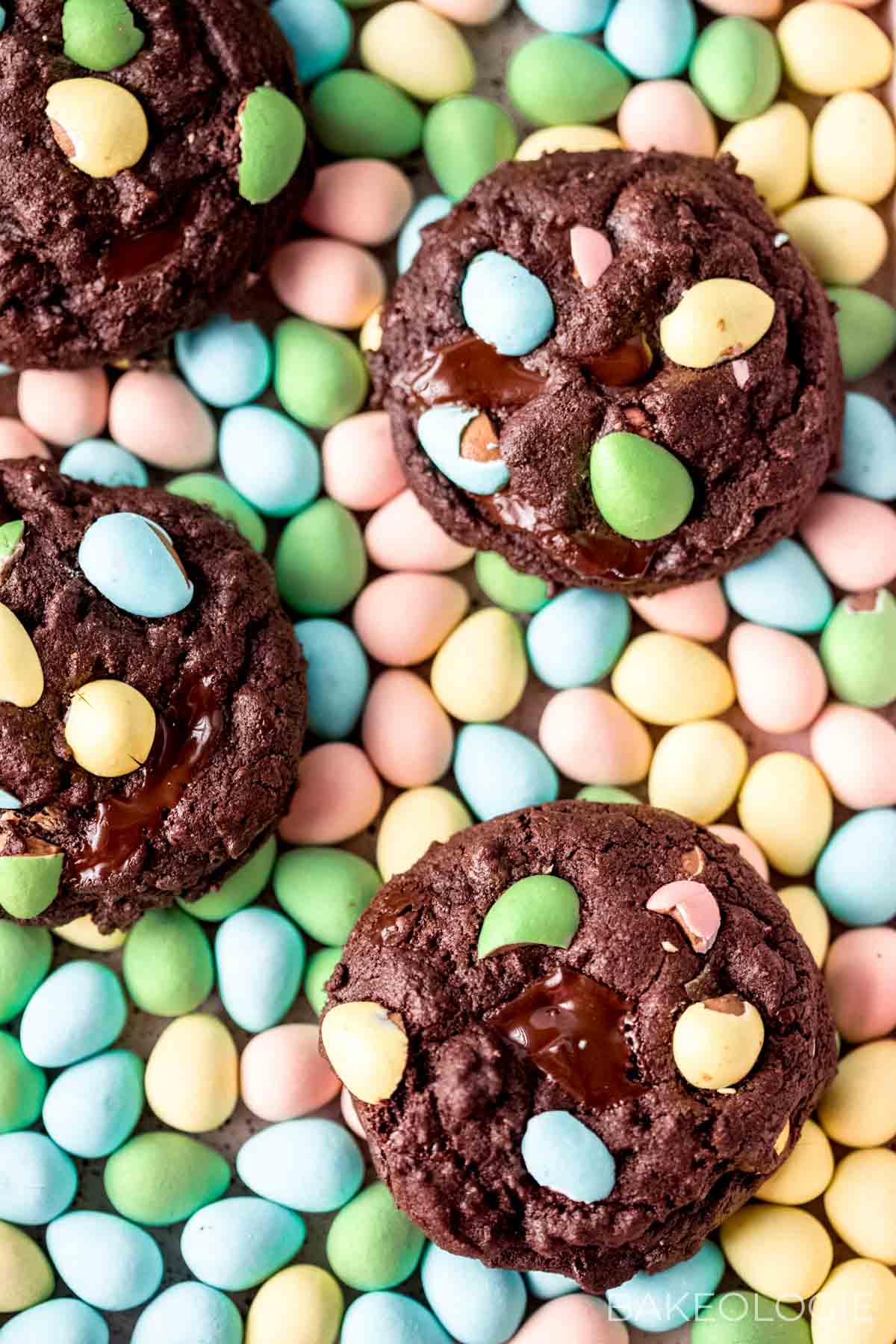 Chocolate Mini Egg Cookies | bakeologie