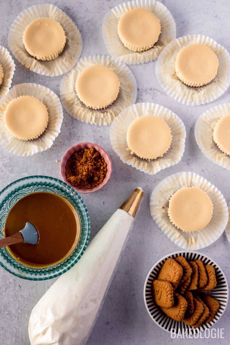Mini Biscoff Cheesecake | bakeologie