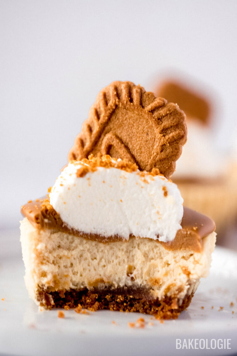 Mini Biscoff Cheesecake | bakeologie
