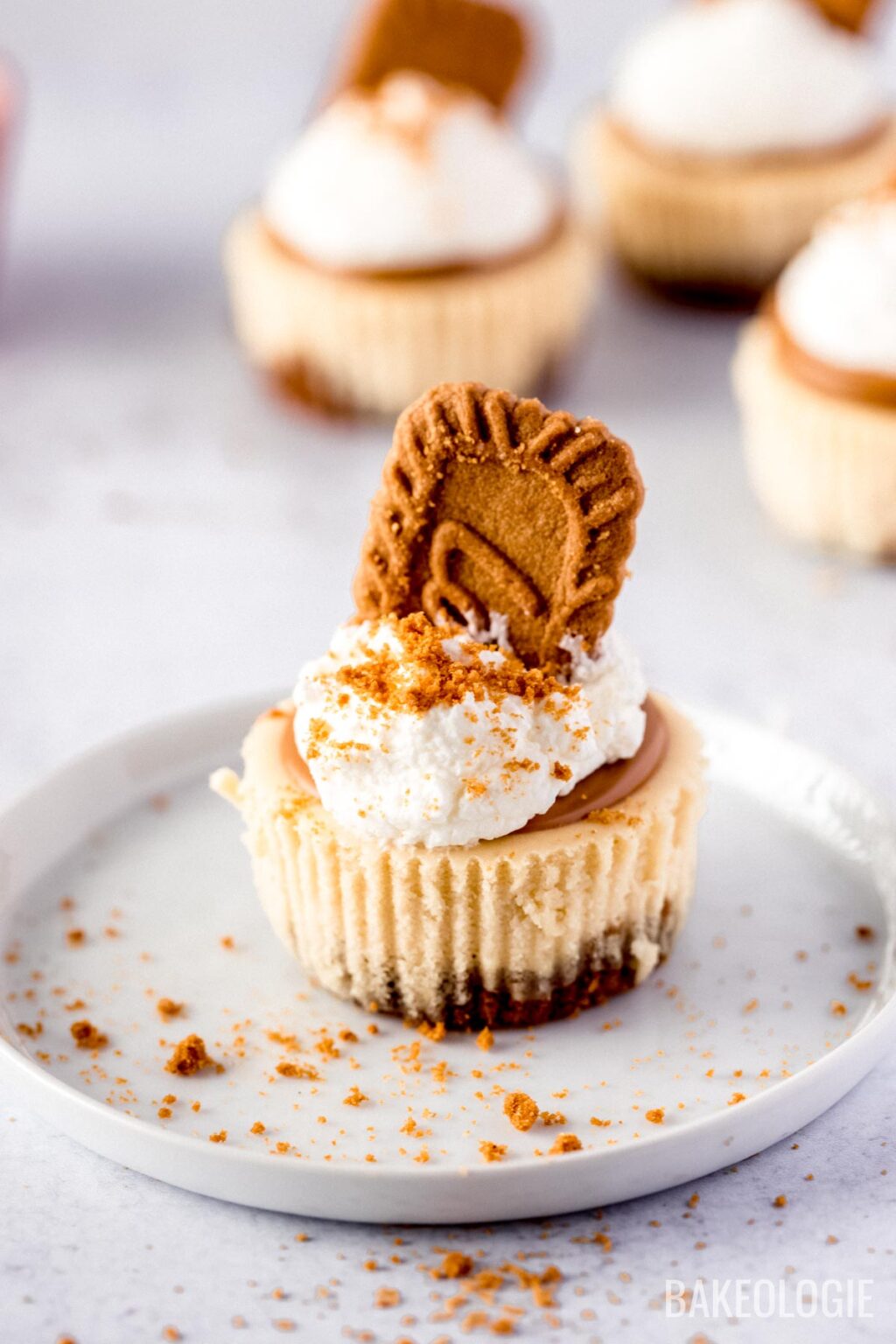 Mini Biscoff Cheesecake | bakeologie