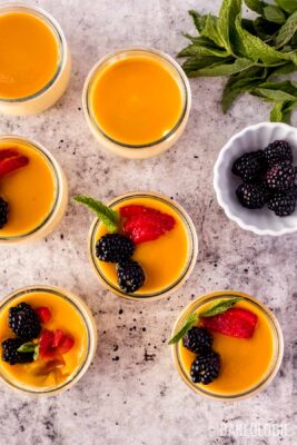 Mango Mousse | bakeologie