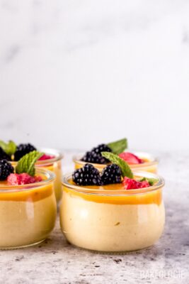 Mango Mousse | bakeologie