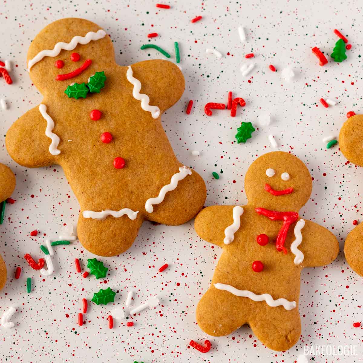 Gingerbread Cookies Without Molasses | bakeologie