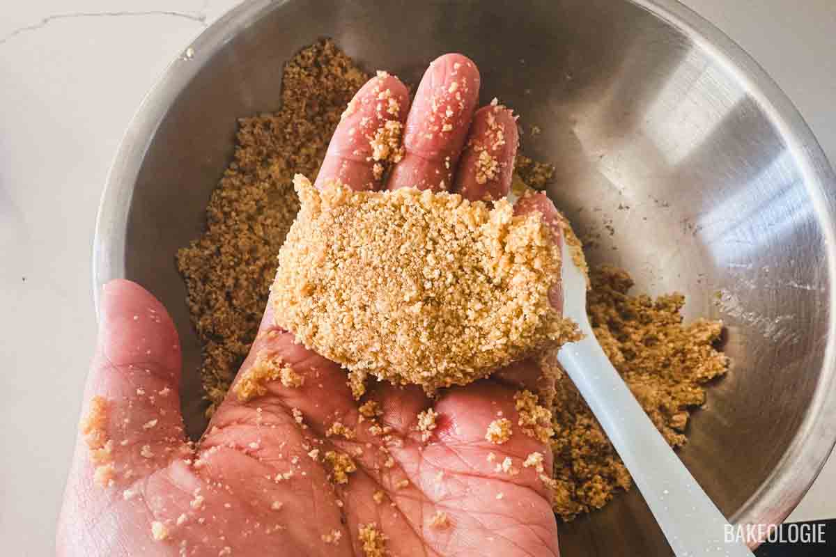 Easy Homemade Graham Cracker Crust | bakeologie