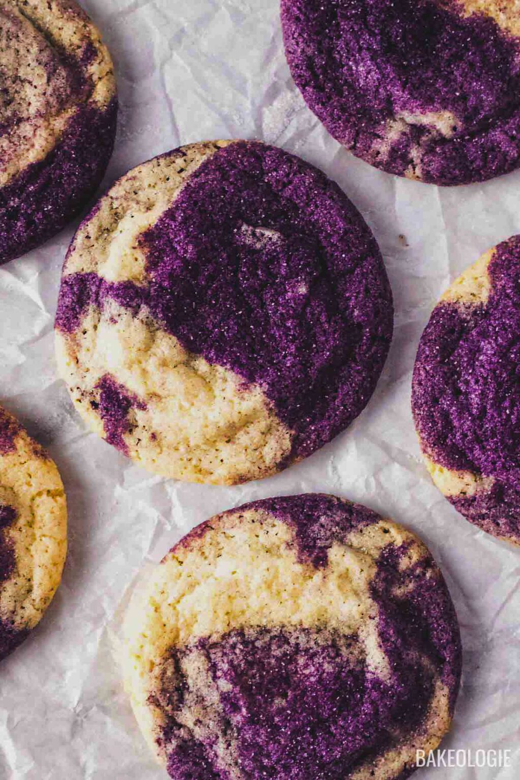 Pink Sugar Cookies | bakeologie