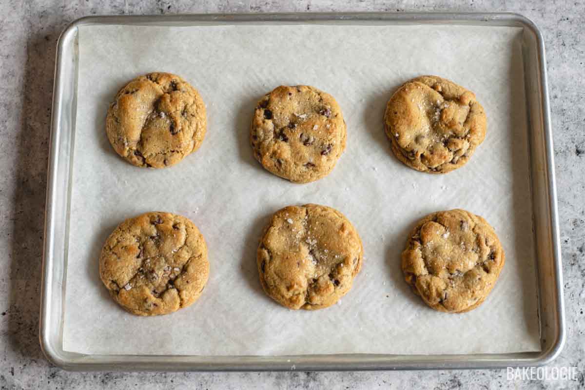 My Go-To Chocolate Chip Cookie Recipe | bakeologie